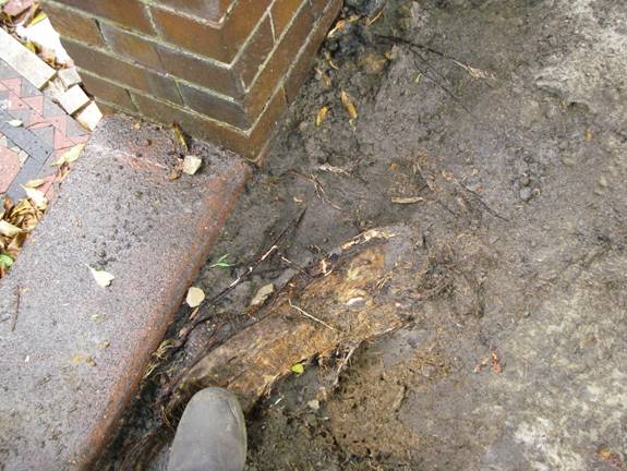 Agenda of Works Committee Meeting - 6 December 2011